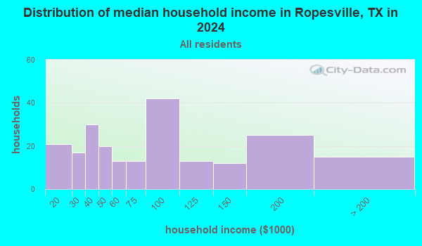 Ropesville, Texas (TX 79358) profile: population, maps, real estate ...