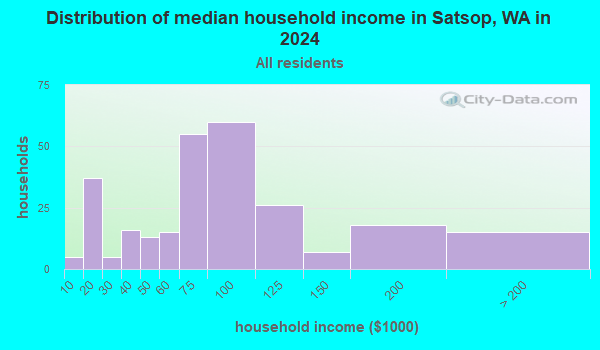 Satsop, Washington (WA 98583) profile: population, maps, real estate ...