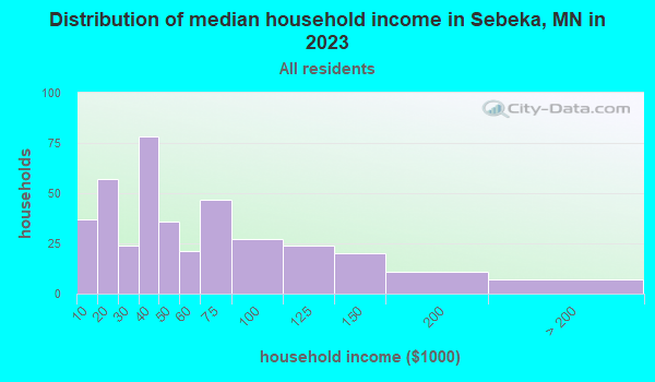 Sebeka, Minnesota (MN 56477) profile: population, maps, real estate ...