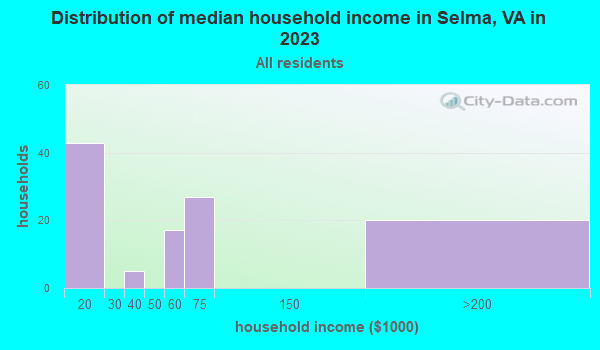 Selma, Virginia (VA 24474) profile: population, maps, real estate ...