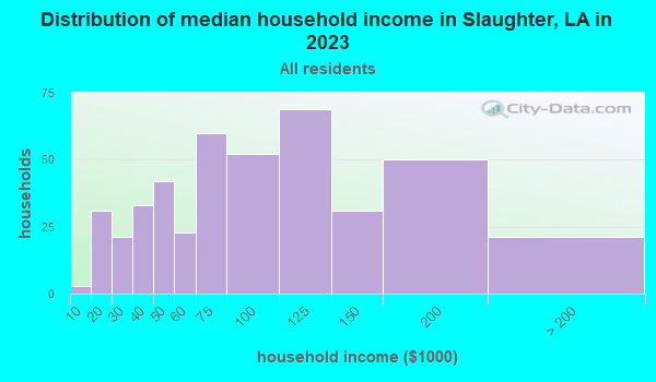 Slaughter, Louisiana (LA 70777) profile: population, maps, real estate ...