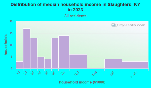 Slaughters, Kentucky (KY 42456) profile: population, maps, real estate ...