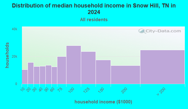 Snow Hill, Tennessee (TN 37363) profile: population, maps, real estate ...