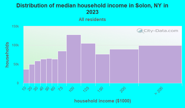 Solon, New York (NY 13040) profile: population, maps, real estate ...