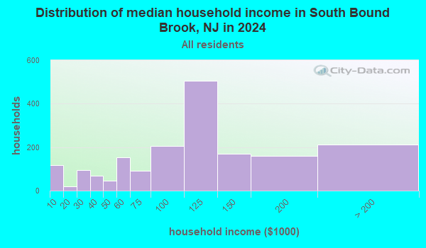 South Bound Brook, New Jersey (NJ 08880) profile: population, maps ...