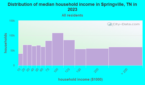 Springville, Tennessee (TN 38256) profile: population, maps, real ...