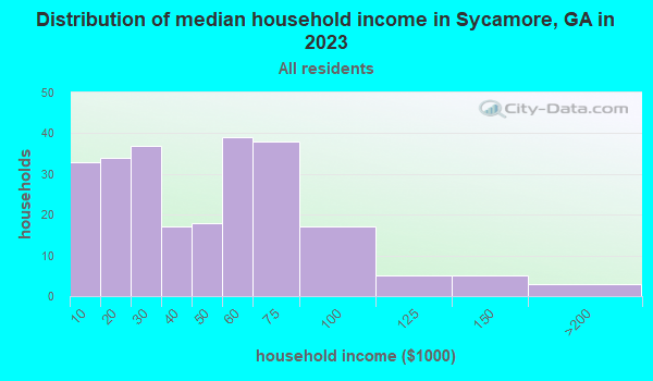 Sycamore, Georgia (GA 31790) profile: population, maps, real estate ...