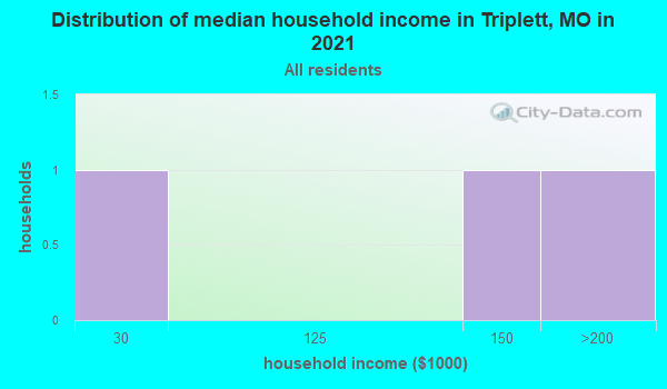 Triplett, Missouri (MO 65286) profile: population, maps, real estate ...