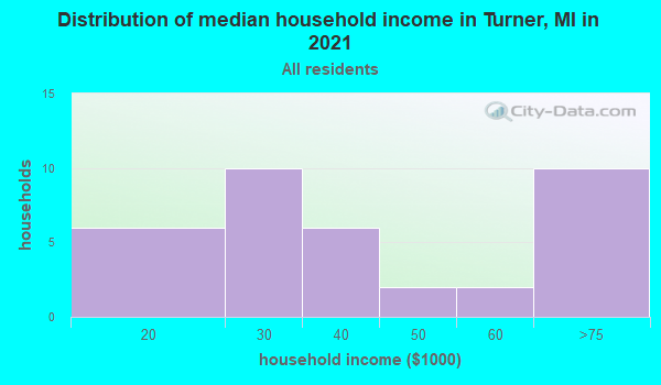 Turner, Michigan (MI 48765) profile: population, maps, real estate ...