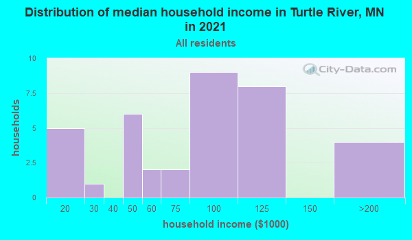 Turtle River, Minnesota (MN 56601) profile: population, maps, real ...