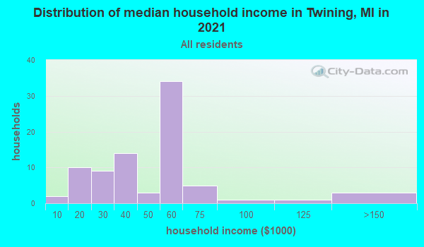 Twining, Michigan (MI 48766) profile: population, maps, real estate ...