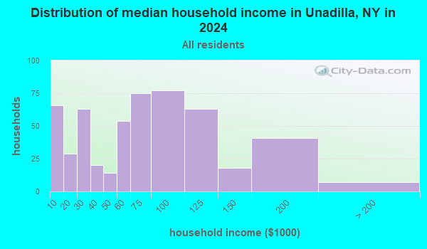 Unadilla, New York (NY 13849) profile: population, maps, real estate ...