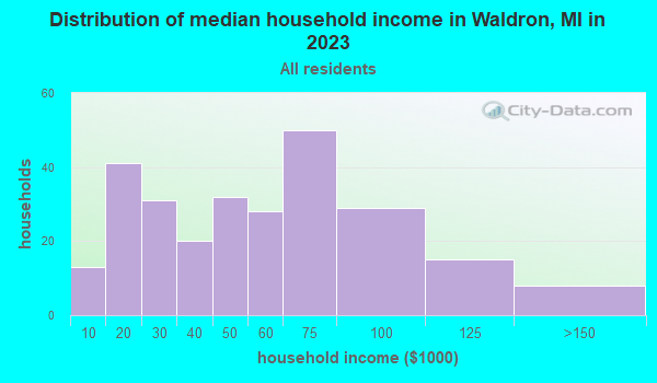 Waldron, Michigan (MI 49288) profile: population, maps, real estate ...