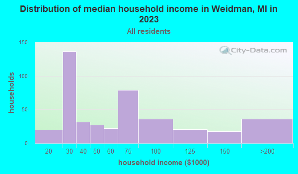 Weidman, Michigan (MI 48893) profile: population, maps, real estate ...