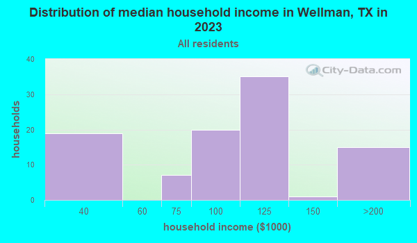 Wellman, Texas (TX 79378) profile: population, maps, real estate ...