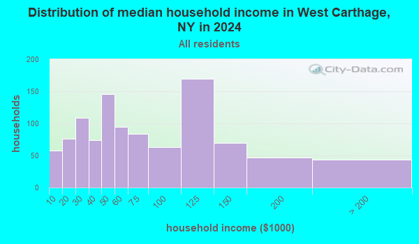 West Carthage, New York (NY 13619) profile: population, maps, real ...
