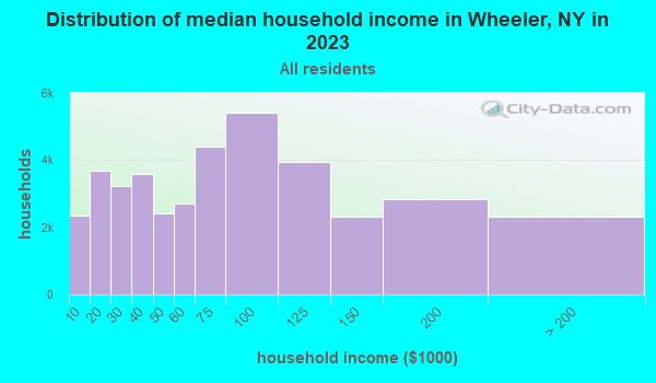 Wheeler, New York (NY 14810) profile: population, maps, real estate ...