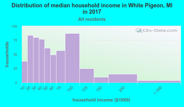 White Pigeon, Michigan (MI 49099) profile: population, maps, real ...