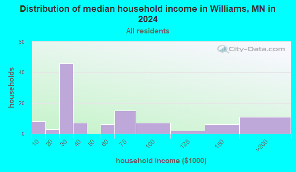 Williams, Minnesota (MN 56686) profile: population, maps, real estate ...