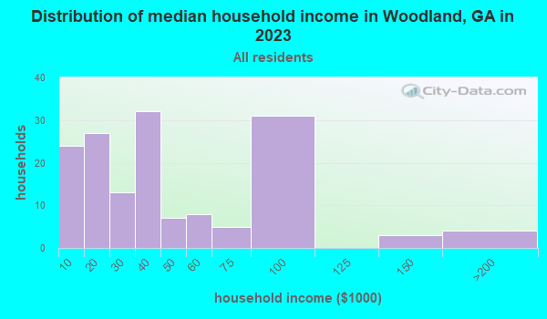 Woodland, Georgia (GA 31836) profile: population, maps, real estate ...