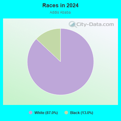 Addis Ababa neighborhood in Brooksville, Florida (FL), 34601 ...