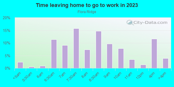 Flora Ridge neighborhood in Kissimmee, Florida (FL), 34741 subdivision ...