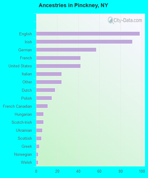 Races in Pinckney, New York (NY): White, Black, Hispanic, Asian ...