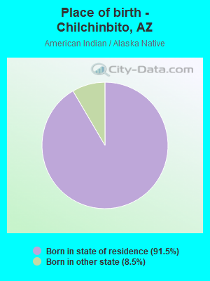 Races in Chilchinbito, Arizona (AZ): White, Black, Hispanic, Asian ...