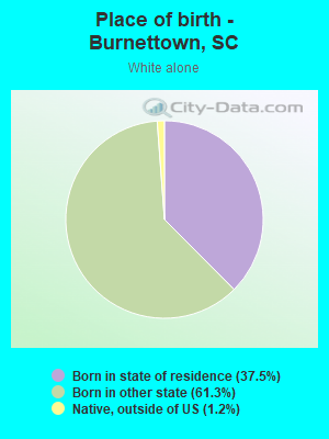 Races in Burnettown, South Carolina (SC): White, Black, Hispanic, Asian ...