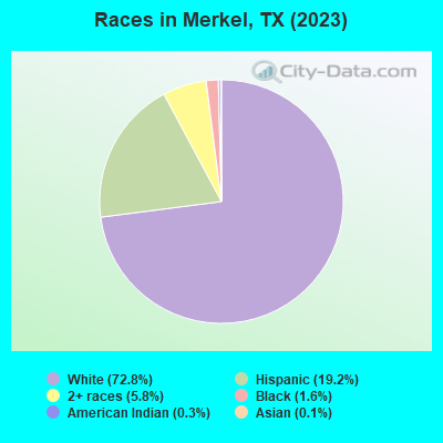 Merkel, Texas (TX 79536) profile: population, maps, real estate ...