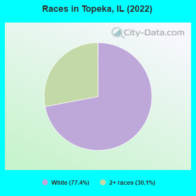 Topeka, Illinois (IL 61567) profile: population, maps, real estate ...