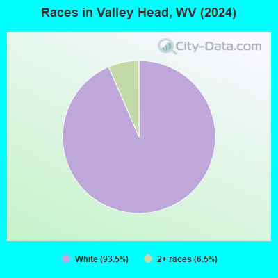 Valley Head, West Virginia (WV 26294) profile: population, maps, real ...