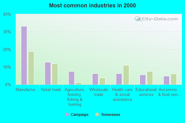 Campaign, Tennessee (TN 38581) profile: population, maps, real estate ...