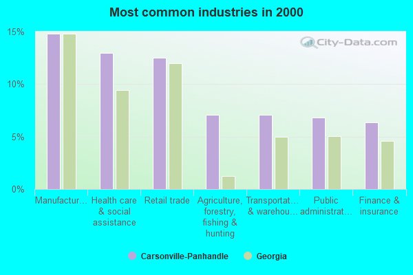 Carsonville-Panhandle, Georgia (GA 31006) profile: population, maps ...