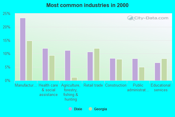 Dixie, Georgia (GA 31629) profile: population, maps, real estate ...