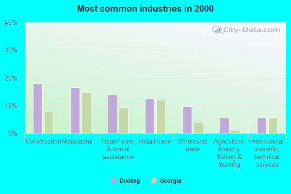 Dooling, Georgia (GA 31063) profile: population, maps, real estate ...