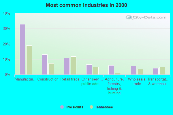 Five Points, Tennessee (TN 38457) profile: population, maps, real ...
