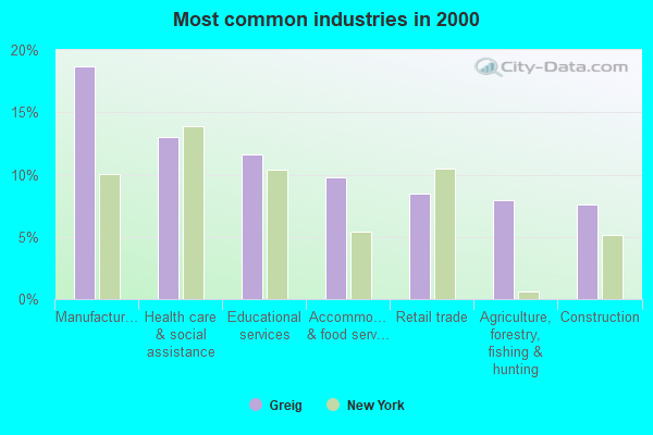 Greig, New York (NY 13312) profile: population, maps, real estate ...