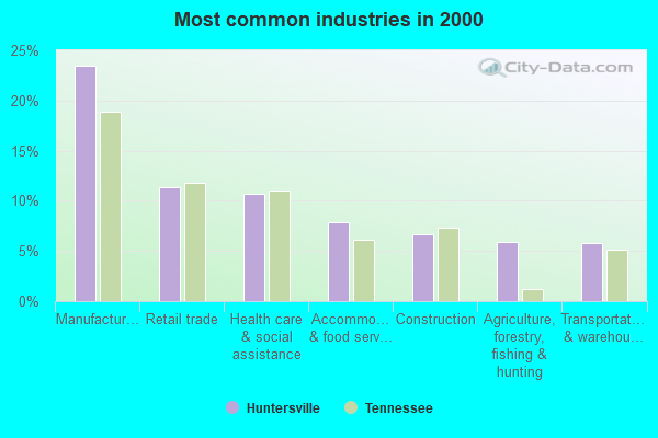 Huntersville, Tennessee (TN 38391) profile: population, maps, real ...