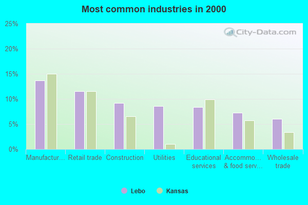 Lebo, Kansas (KS 66856) profile: population, maps, real estate ...