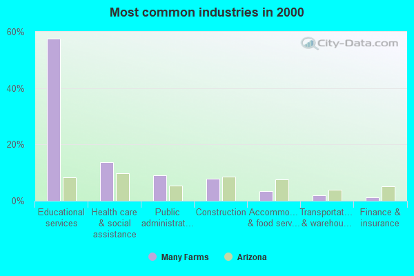 Many Farms, Arizona (AZ 86538) profile: population, maps, real estate ...