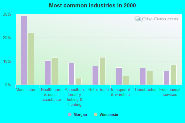 Morgan, Wisconsin (WI 54154) profile: population, maps, real estate ...