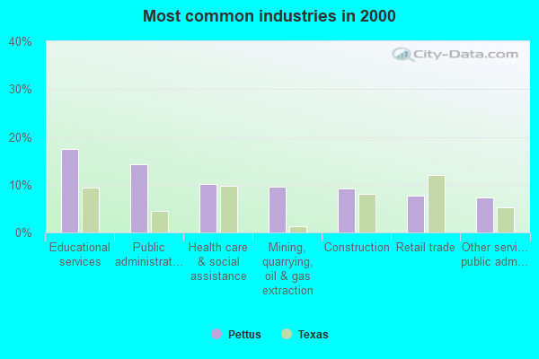 Pettus, Texas (TX 78146, 78162) profile: population, maps, real estate ...