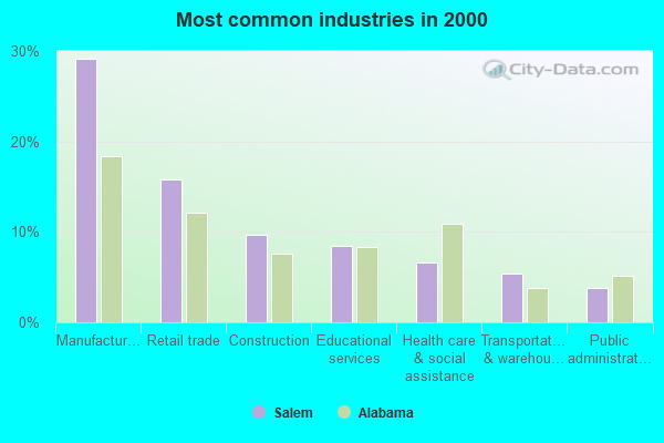 Salem, Alabama (AL 35647) profile: population, maps, real estate ...