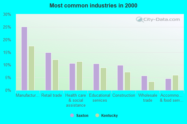 Saxton, Kentucky (KY 40769) profile: population, maps, real estate ...