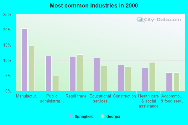 Springfield, Georgia (GA 31329) profile: population, maps, real estate ...
