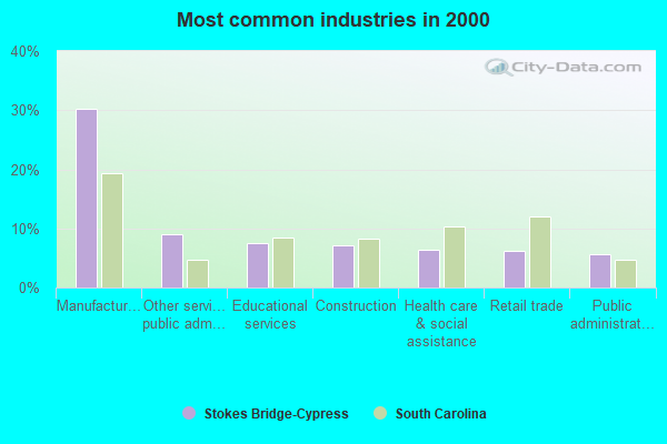 Stokes Bridge-Cypress, South Carolina (SC 29010) profile: population ...