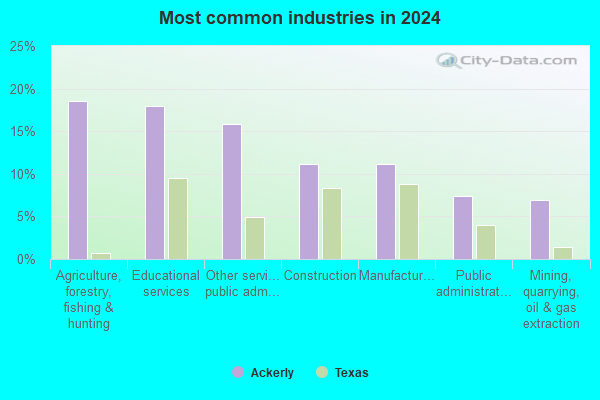 Ackerly, Texas (TX 79713) profile: population, maps, real estate ...