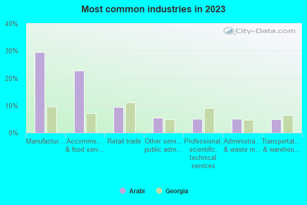 Arabi, Georgia (GA 31015, 31712) profile: population, maps, real estate ...