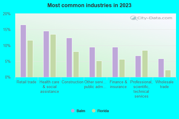 Balm, Florida (FL) profile: population, maps, real estate, averages ...